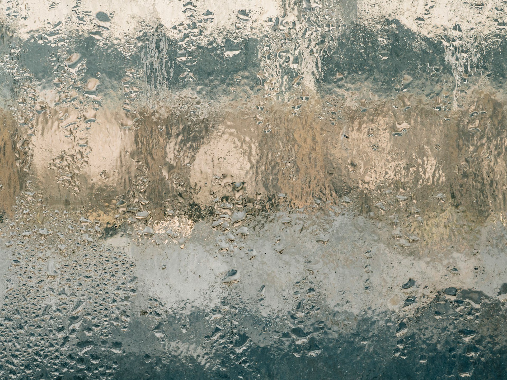How to Maintain Proper Humidity Levels for a Tropical Reptile's Habitat ...